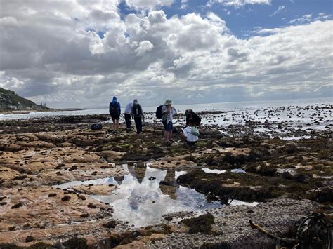 Grade 10 Pupils Embark On Rocky Shore Field Trip