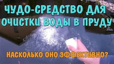 Чудо-средство для очистки воды в пруду: насколько оно эффективно?