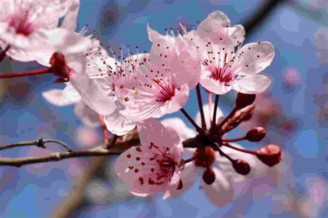 Material Bottom Tabsのtabを非表示する方法〜react Navigation〜 ジェイス ブログ