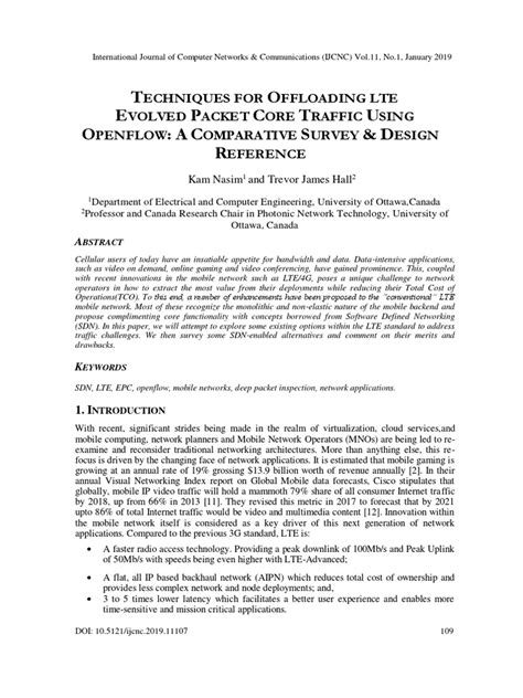 Techniques For Offloading Lte Evolved Packet Core Traffic Using