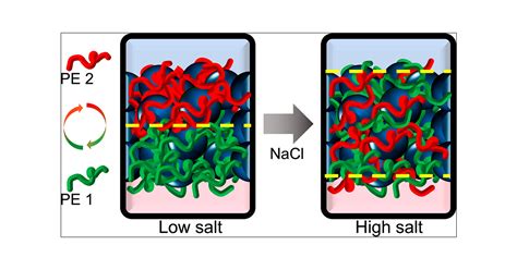 Ionic Strength Dependent Assembly Of Polyelectrolyte Nanoparticle Membranes Via Interfacial