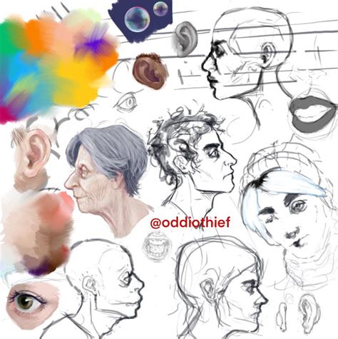 Sketch Practice R Sketches