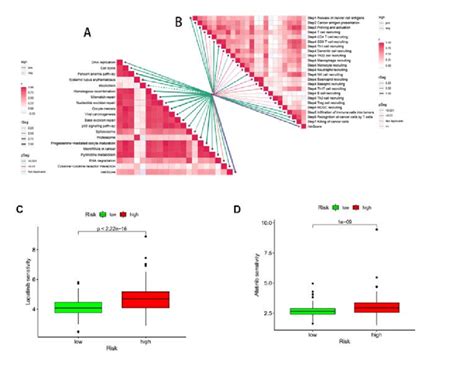 A Correlation Between Risk Score And Icb Response Signature And B Download Scientific