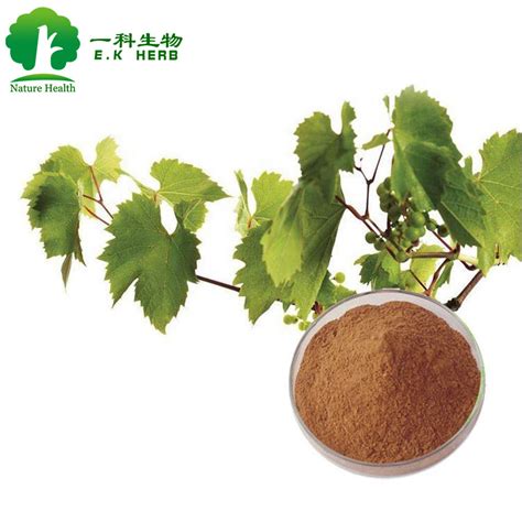 E K Herb Natural Polygonum Cuspidatum Extract Resveratrol 98 50