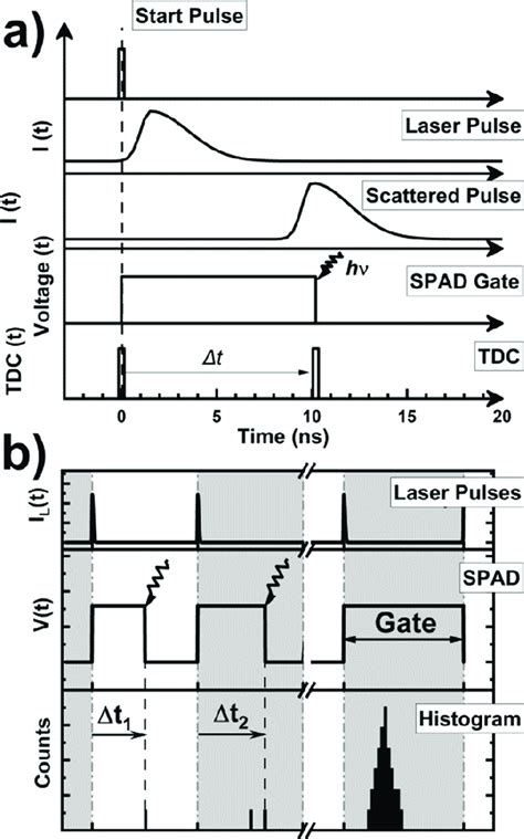 Time Correlated Single Photon Counting TCSPC Technique Basics For