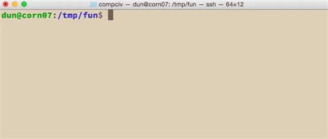 Creating Basic Shell Scripts
