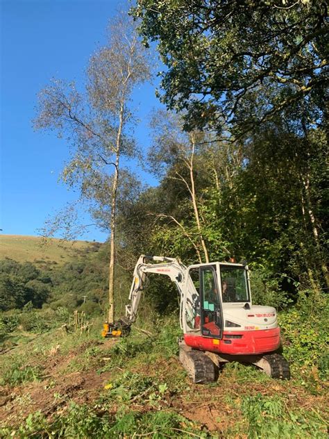 Tree Shearing Dyfed Powys Wood Fuels