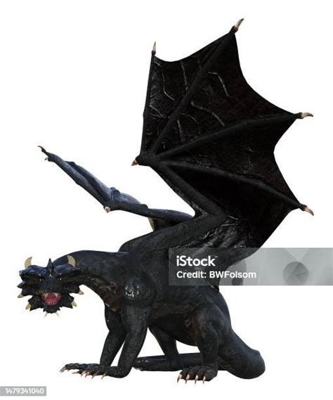 날개를 펼치고 목이 구부러진 검은 용이 흰색 배경에 고립되어 웅크리고 앞을 바라보고 있다 가공의 인물에 대한 스톡 사진 및 기타 이미지 가공의 인물 검은색 격노한
