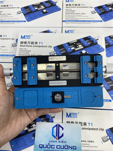 Maant giá tốt Tháng 11,2022|BigGo Việt Nam