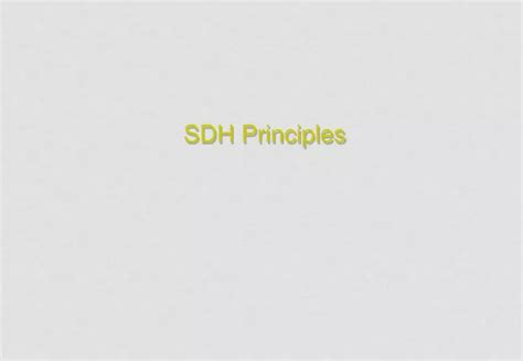 PPT SDH Principles PowerPoint Presentation Free Download ID