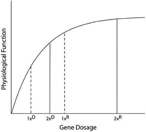 Saturation Kinetics And Genetic Dominance As Suggested By Wright If