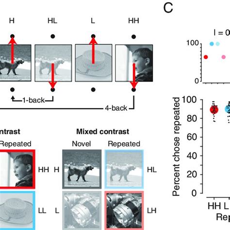 Visual Memory Behavior A The Contrast Invariant Single Exposure