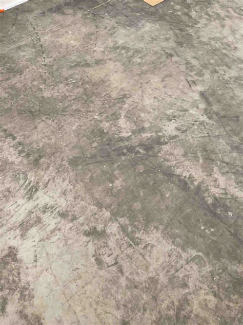 Canvas Viewer 24 Nov 2020 At 143331