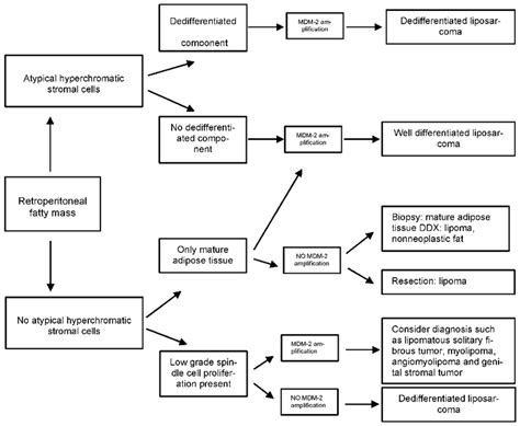 Algorithm For The Evaluation Of A Fatty Retroperitoneal Mass Algorithm
