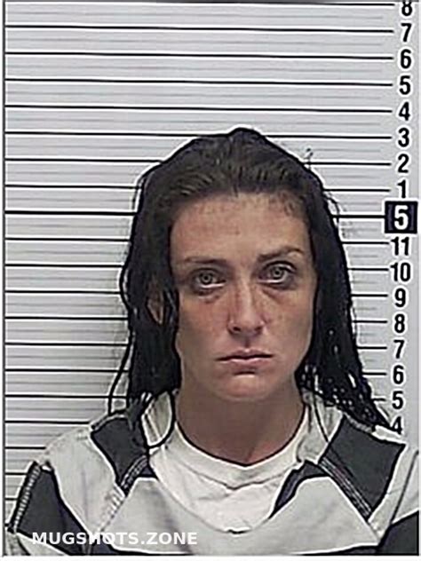 Lamb Taylor Renee 07 12 2024 Bay County Mugshots Zone