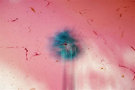 Interlay A Fascinating Comprehensive Guide