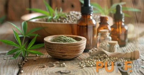 A Guide To Cannabis Extraction Methods And Technology