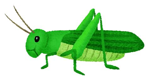 バッタの無料イラスト フリーイラスト素材集 ジャパクリップ