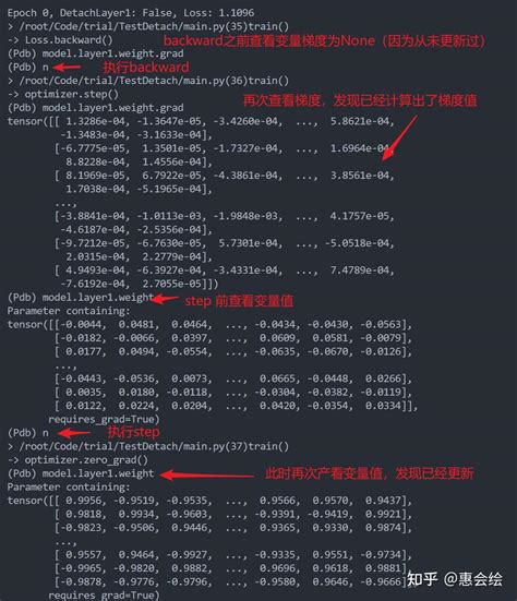 关于pytorch中使用detach并不能阻止参数更新这档子事儿 知乎