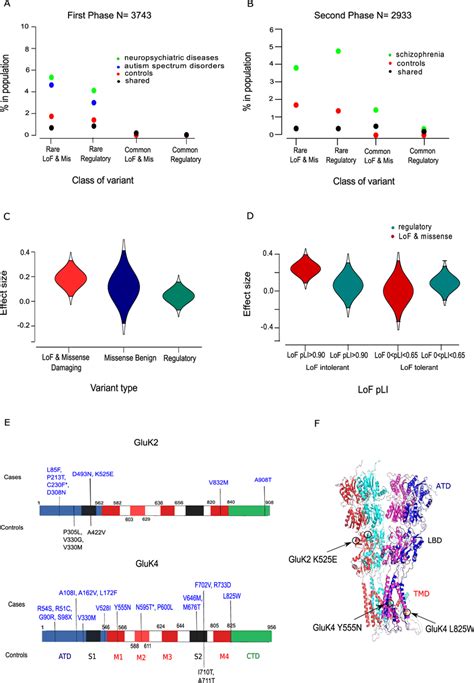 Frequency And Effect Size Of Functional Variants And The Location Of