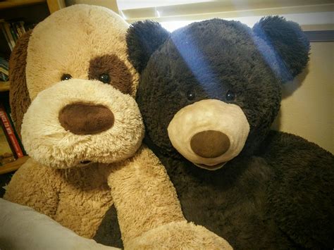 293 Best R Plushophile Images On Pholder Ive Made Plush Before But Not Im Trying To Get A