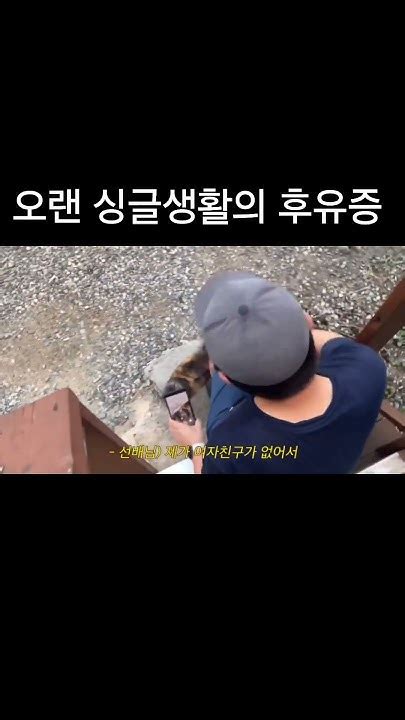 고양이 여친 Youtube