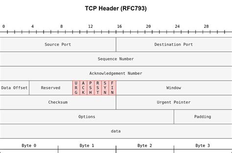 Nmap Basic Port Scans Learn In Depth How Nmap Tcp Connect… By