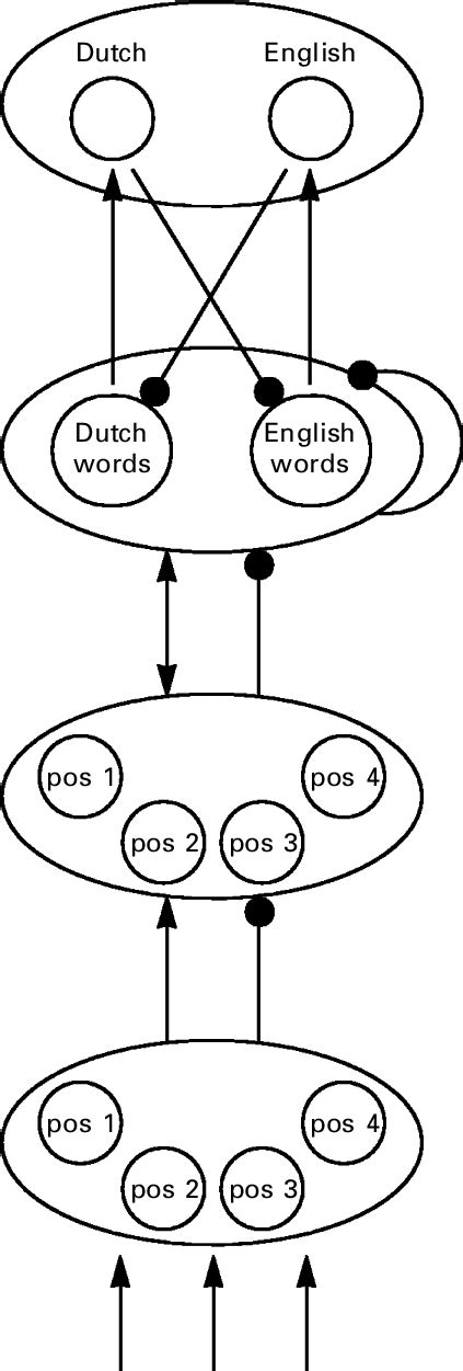 Bilingual Interaction Activation Model Source Adapted From Dijkstra Et