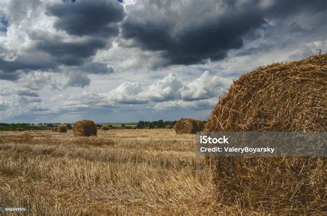 흐린된 하늘에 어두운 극적인 구름의 배경에 시간을 수확 후 빈 필드에가 하 마 짚 니 여름 국가 장면 가을에 대한 스톡 사진 및 기타 이미지 Istock