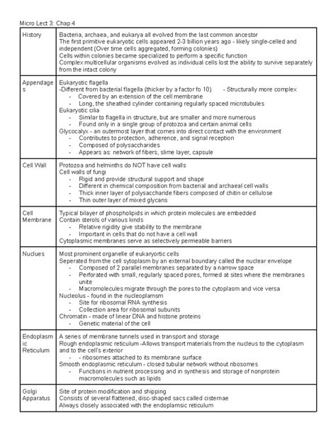 History Of Eukarya And Bacteris Micro Lect 3 Chap 4 History Bacteria