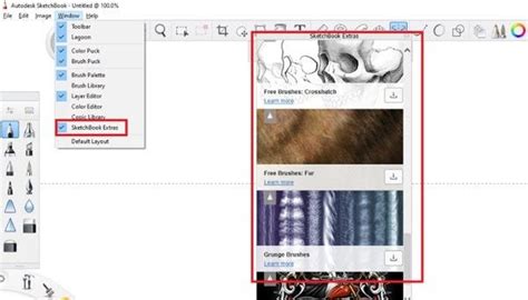 Autodesk Sketchbook Examples