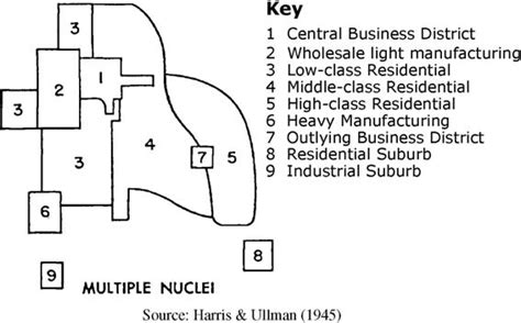 Multiple Nuclei Theory Download Scientific Diagram