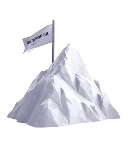 Dataforge Technologies Team Data Management Experts