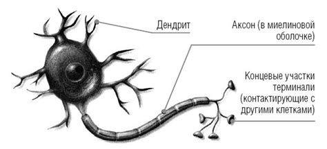 Книга Сила мысли. Поменяйте ход своих мыслей, измените свою жизнь ...