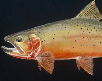 Cutthroat Trout Art Etsy