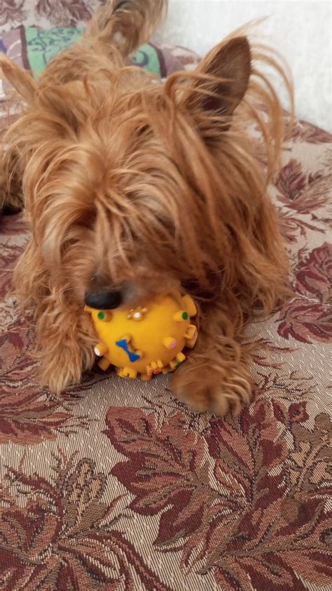 я да но нет On Twitter лучше всего с утра тонизирует не кофе а здоровенный сука кубернетисов