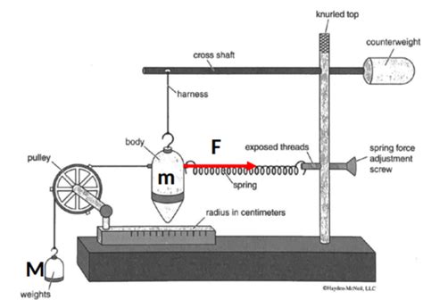 Physics Lab Quiz 2 Flashcards Quizlet