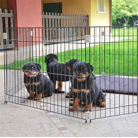 Köpek Eğitim Kafesi Ferplast