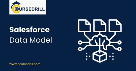 master the salesforce data model a clear guide to crm success