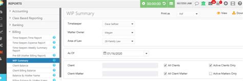 Work In Progress WIP Summary Report CosmoLex Support