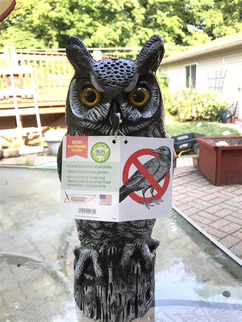 Automated Garden Owl Scarecrow 7 Steps With Pictures Instructables
