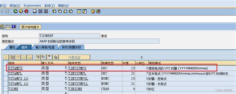 Sap Abap时间戳 Csdn博客