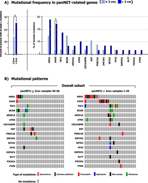 Mutational Patterns In Pannets ≤2 Cm And 2 Cm A The Number Of