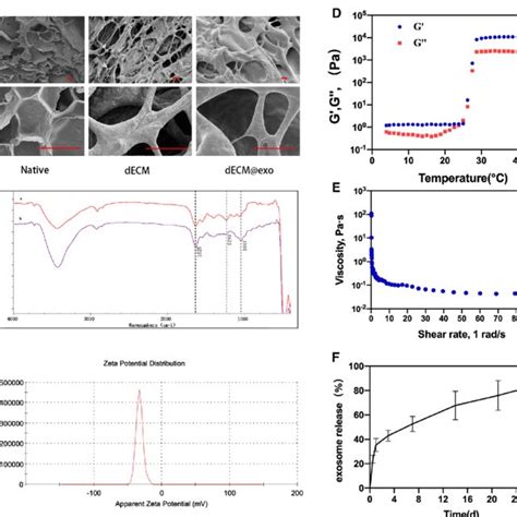 Synthesis And Characterization Of Decm Exo A Sem Analysis Of Np Download Scientific Diagram
