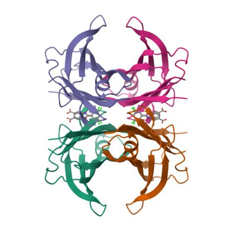 Rcsb Pdb 6fft Neutron Structure Of Human Transthyretin Ttr S52p