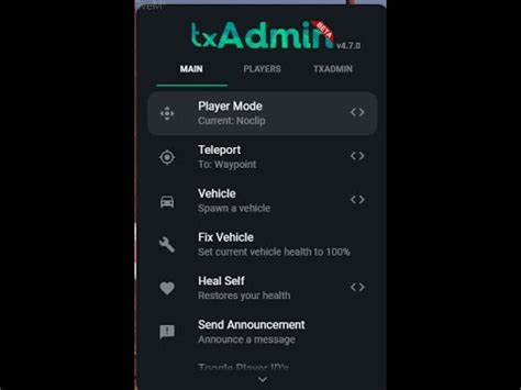 How To Enable The TXadmin Menu YouTube