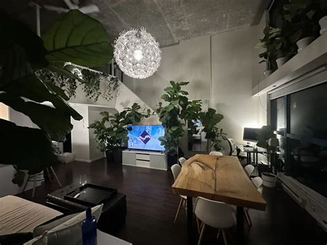 Evelyn Martins Portfolio Content