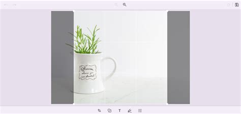 How To Enable Cropping Using The Image Loaded Event While Loading The Net Maui Image Editor