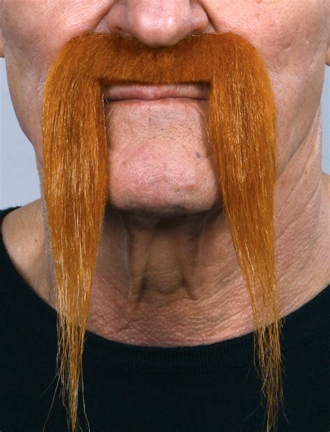 Bart Wikinger Rot Braun 61031