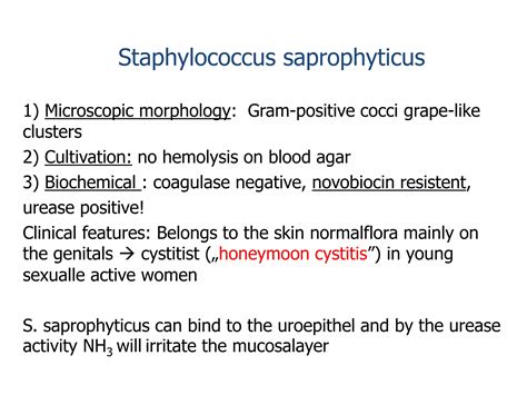 Staphylococcuspdf